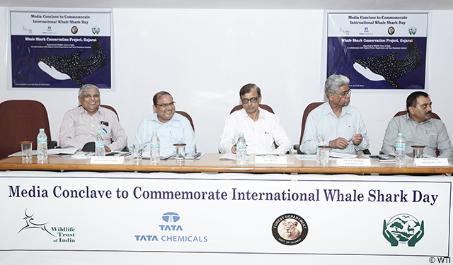 Stakeholders of the Whale Shark Conservation Project Host Media ...